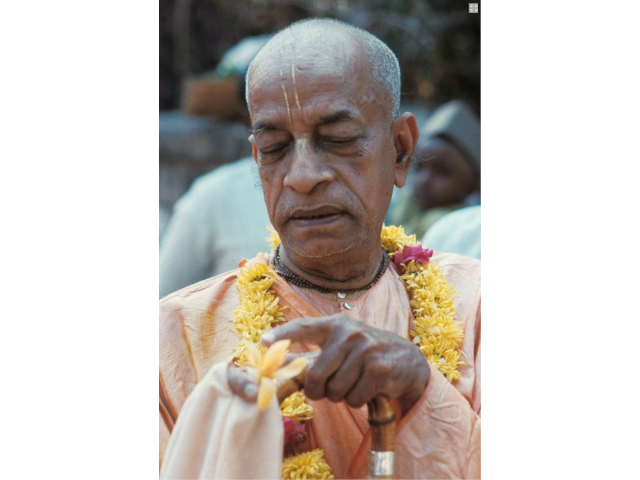 Srila Prabhupada Lila